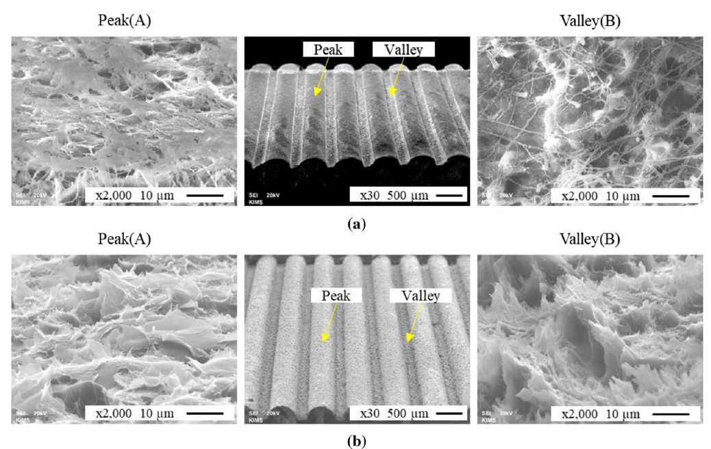 Publications - 2020.7: Superhydrophobic Polymer Surface with ...